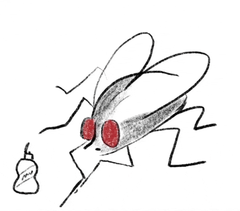 Gel Antibacterial GIFs - Get the best GIF on GIPHY