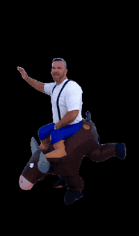 Mechanical Bull Riding Gif
