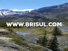 Bri Sul GIFs on GIPHY - Be Animated