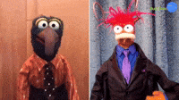 Pepe-muppet GIFs - Get the best GIF on GIPHY