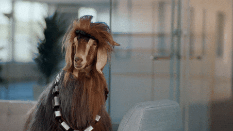 Star Wars Goat GIF by Disney+ - Find & Share on GIPHY