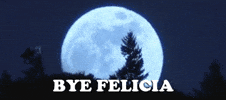 Bye Felicia GIFs - Find & Share on GIPHY