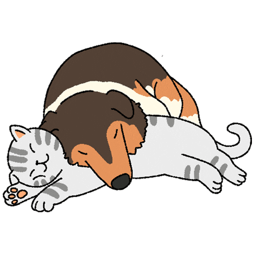 Cartoon Cat And Dog Gif at Jamie Heyne blog