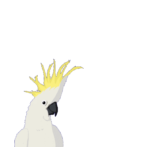 Crikey Stickers - Find & Share on GIPHY