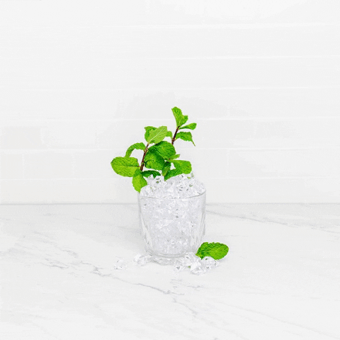 Dissolvable GIFs - Get the best GIF on GIPHY