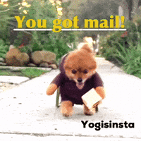 Youve Got Mail Gif