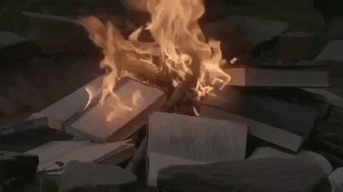 Burning Books Burn GIF by Declan McKenna - Find & Share on GIPHY