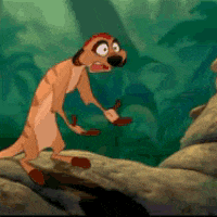 Timon GIFs - Find & Share on GIPHY
