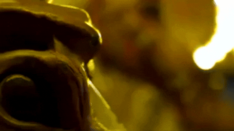 Earache Records GIFs on GIPHY - Be Animated