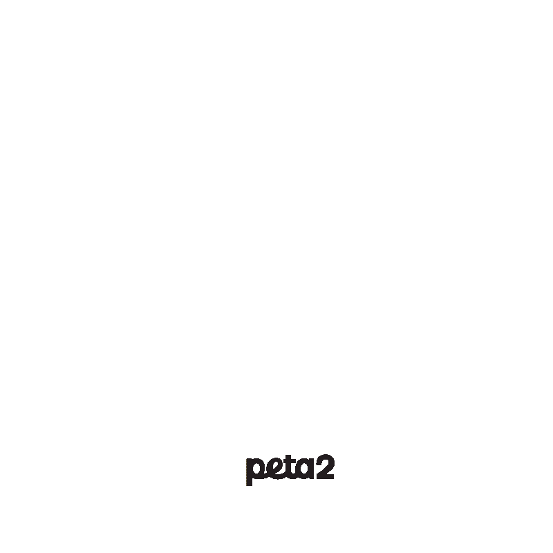 peta2 GIFs on GIPHY - Be Animated