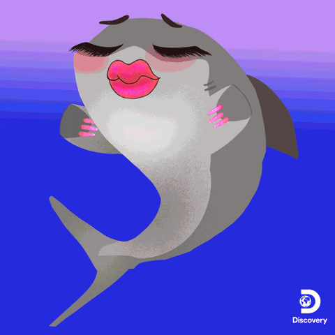 Fun Yes GIF by Shark Week - Find & Share on GIPHY