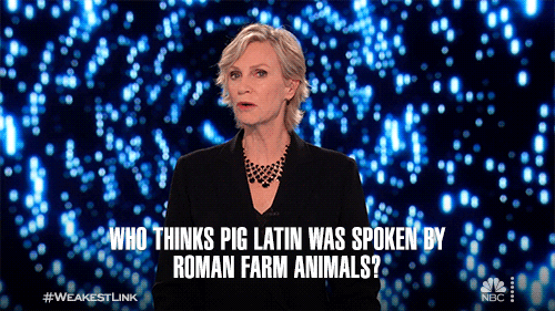 Farm-animals GIFs - Get the best GIF on GIPHY