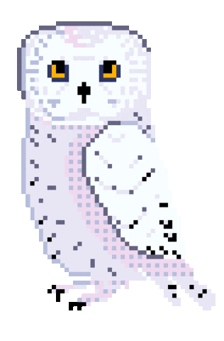 Pixel Birds GIFs on GIPHY - Be Animated
