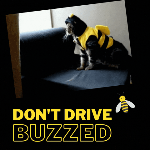 Drunk Driving GIF by VDOT - Find & Share on GIPHY