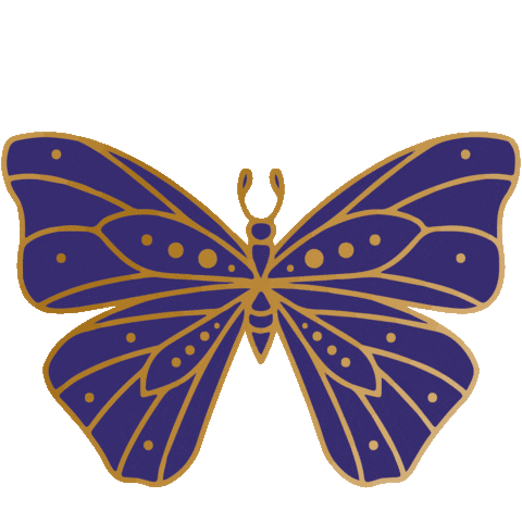 Magic Butterfly Sticker by Popsockets Colombia for iOS & Android | GIPHY