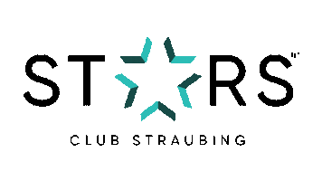 Stars Logo 2022 GIFs on GIPHY - Be Animated