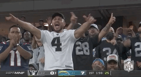 Las Vegas Raiders Football GIF by NFL - Find & Share on GIPHY