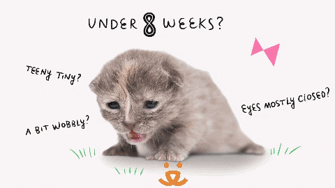 8 Bit Community GIFs - Get the best GIF on GIPHY