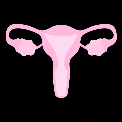 Gyneco GIFs - Get the best GIF on GIPHY