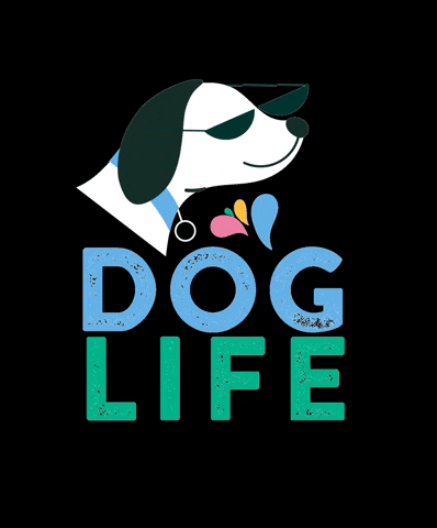 Dog Life GIFs - Get the best GIF on GIPHY