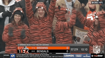 Cincinnati Bengals GIFs on GIPHY - Be Animated