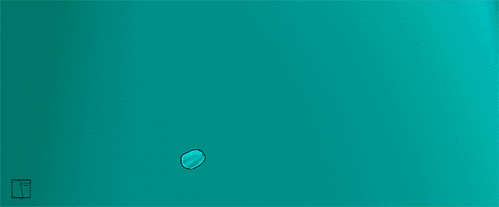 Shooting Breaking Glass GIF by Phazed - Find & Share on GIPHY