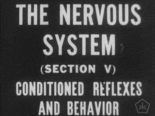 Conditioned-reflexes GIFs - Get the best GIF on GIPHY