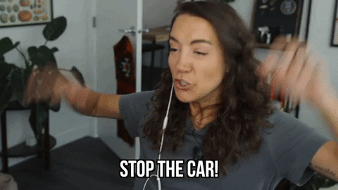 Stop-the-car GIFs - Get the best GIF on GIPHY