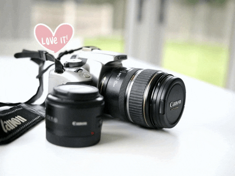 Its Canon GIFs - Get the best GIF on GIPHY