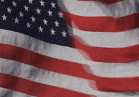 Lmanburg Flag Burning Gif