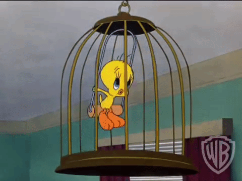 Vintage GIF - Find & Share on GIPHY