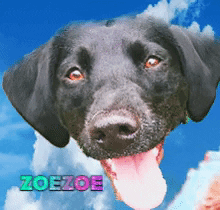 Project Bionic Inc. GIFs on GIPHY - Be Animated