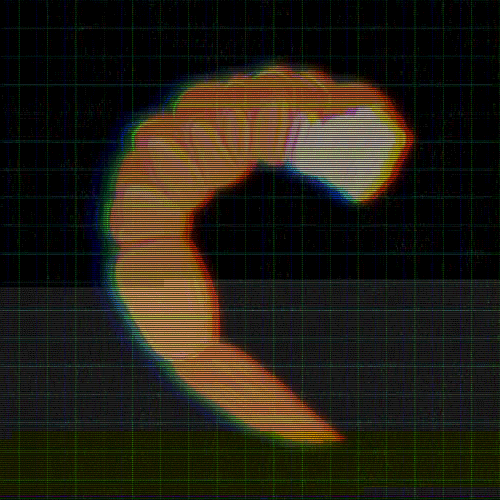 Space-shrimp GIFs - Get the best GIF on GIPHY