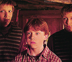 Ron Weasley Scared Gif
