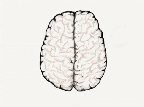 Illustration Brain GIF by General Electric - Find & Share on GIPHY