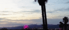 Los Angeles GIFs - Find & Share on GIPHY
