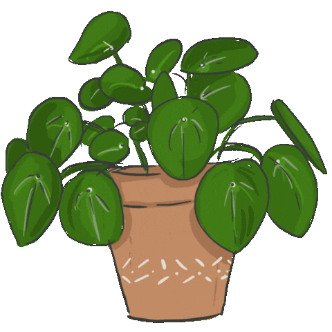 Money Tree Animated Gif
