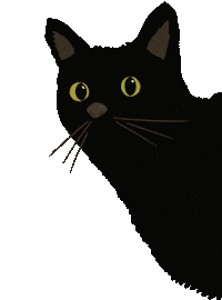 Animated Gif Black Cat