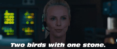 Two Birds With One Stone GIFs - Get the best GIF on GIPHY