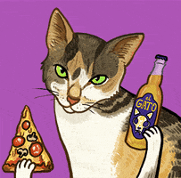 Party Cat gifs - Find & Share on GIPHY