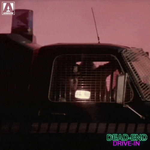 Driving Dead End Drive-In GIF by Arrow Video - Find & Share on GIPHY