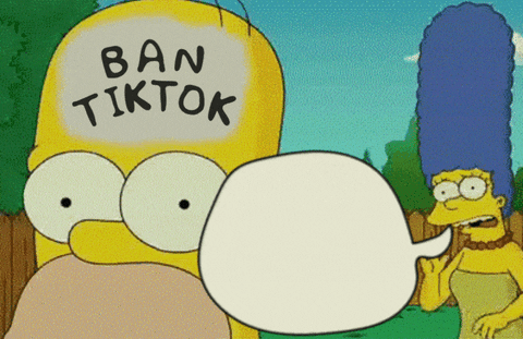 Tiktok-ban GIFs - Get the best GIF on GIPHY