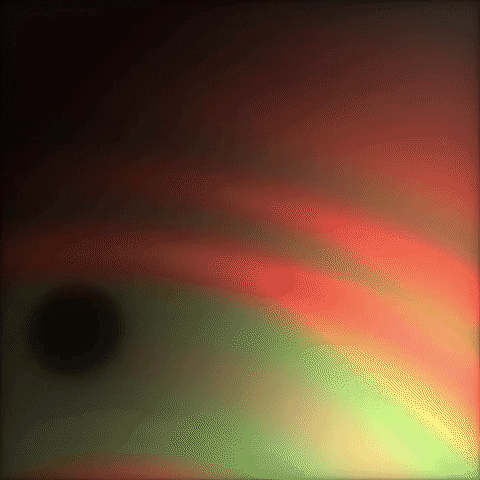 Powder GIF - Find & Share on GIPHY