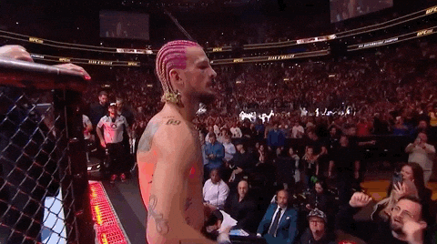 #UFC292 GIFs: Suga Sean vs Funkmaster for the Bantamweight Belt! by ...