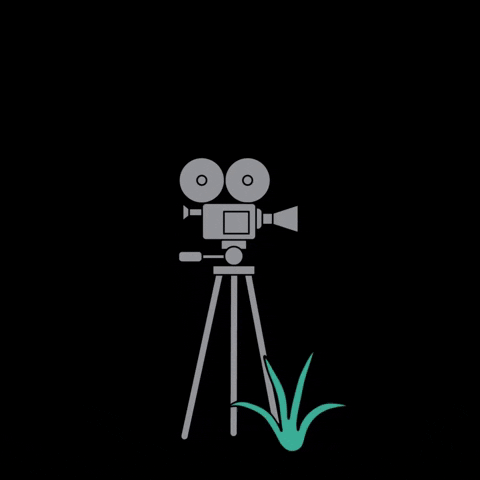 Miami Film Festival GIFs on GIPHY - Be Animated