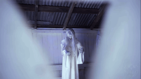 GIF by Spirit Halloween - Find & Share on GIPHY