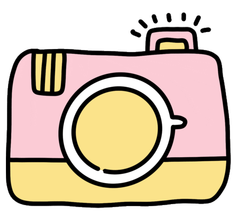 Camera Flash Animation Gif