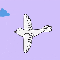 Flying Bird Gif