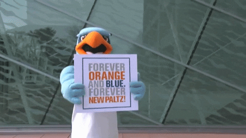 Forever-orange GIFs - Get the best GIF on GIPHY