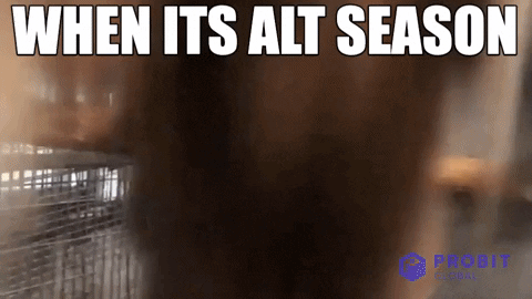Alt Season GIFs - Get the best GIF on GIPHY
